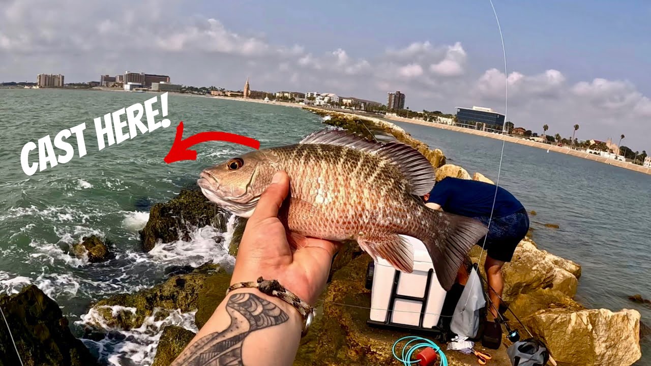 Downtown Jetty Fishing for Mangrove Snapper! - YouTube