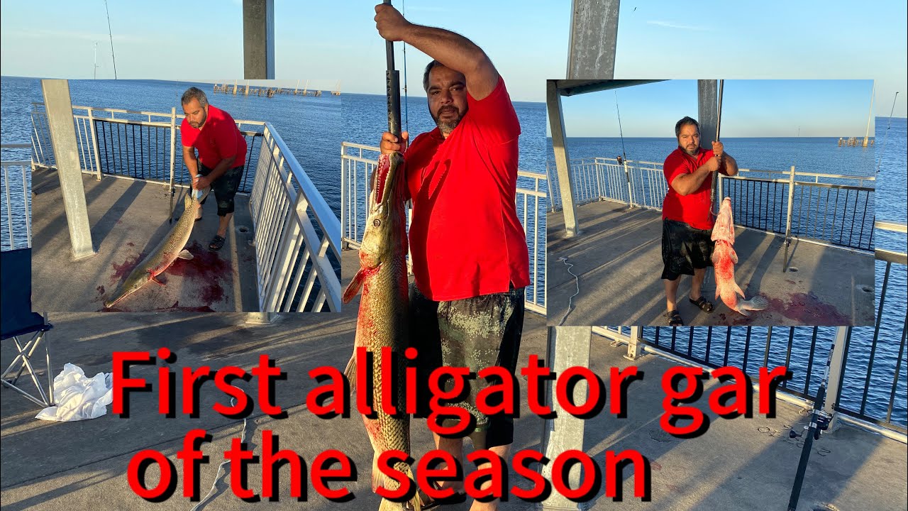 First alligator gar of the season 2024 - YouTube