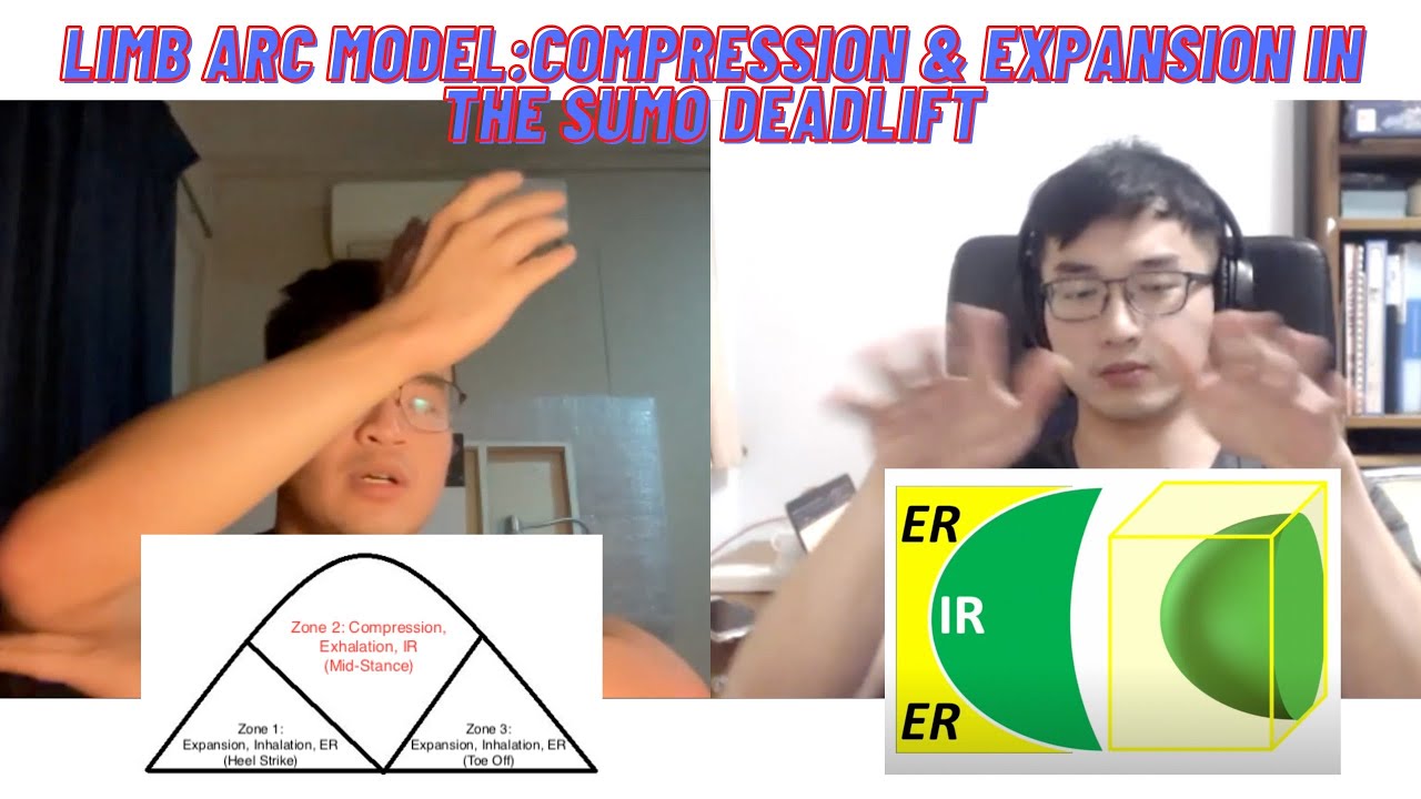 Limb Arc Model : Compression & Expansion Model in the Sumo Deadlift ...
