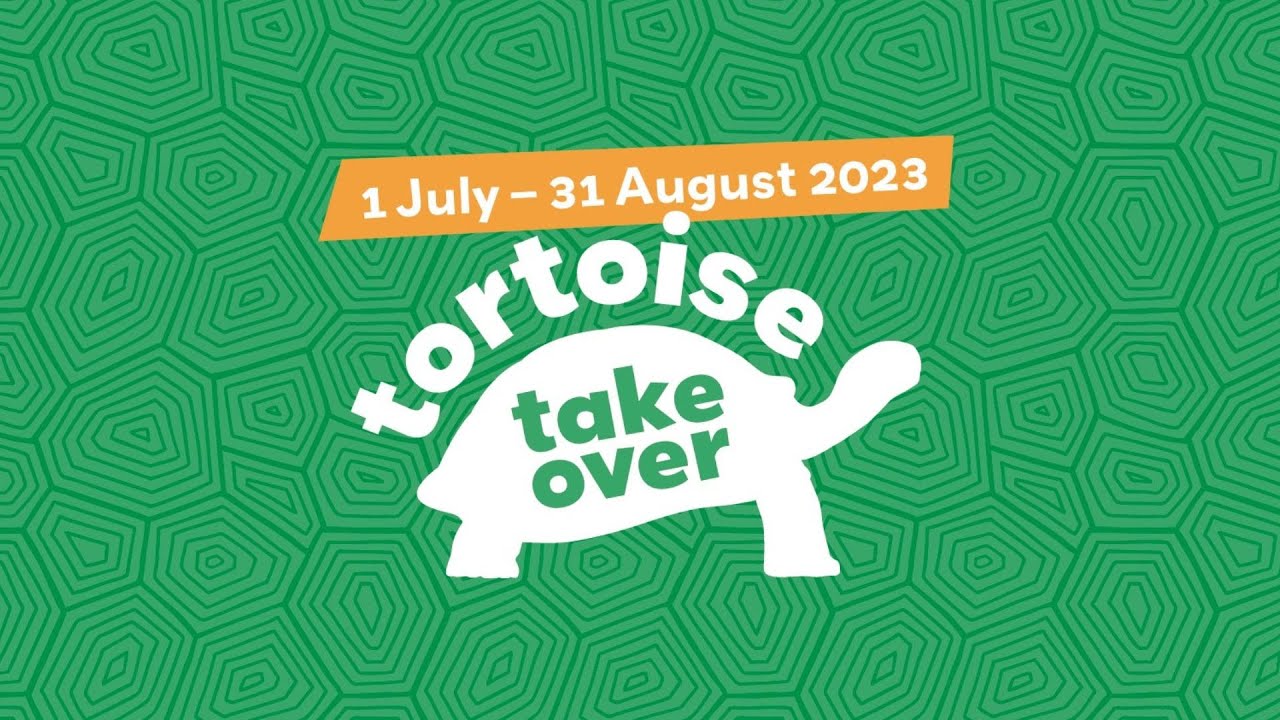 Tortoise Takeover Jersey - YouTube