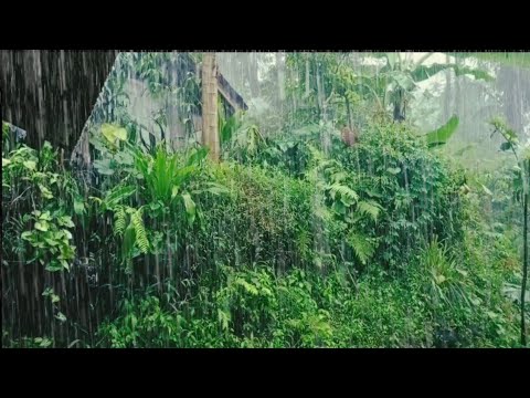 Viral Yağmur Sesleri 🌧️ Anında Uyku, Derin Gevşeme ve Maksimum Odaklanma | ASMR Yağmur Terapisi