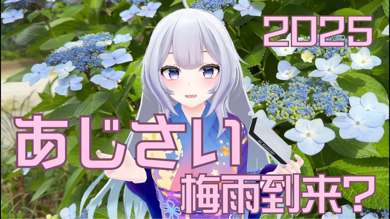 2025 梅雨 紫陽花 日本語 VRChat Japanese hydrangea - YouTube