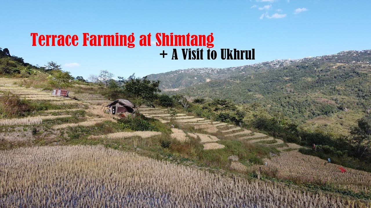 Terrace Farming at Shimtang | A Visit to Ukhrul, Manipur India - YouTube