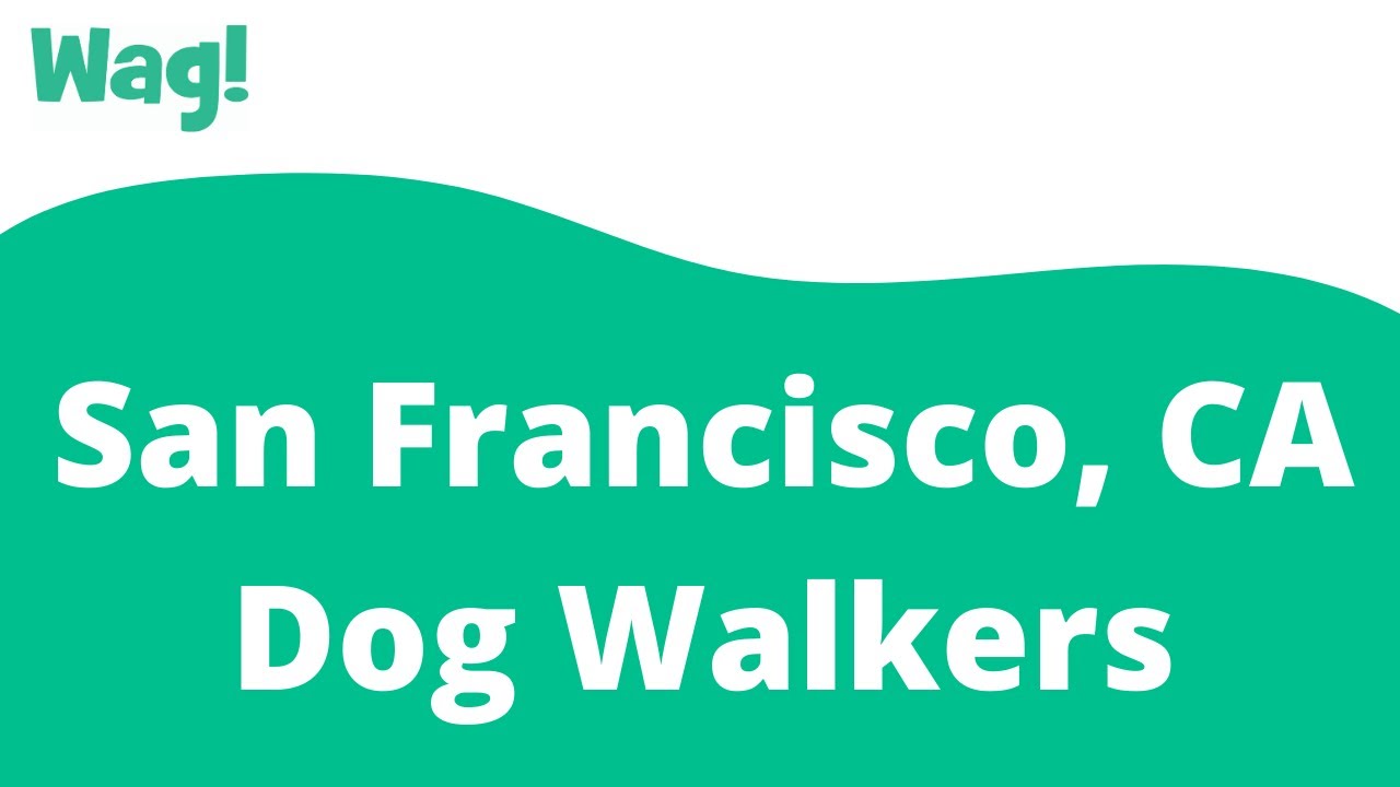 San Francisco, CA Dog Walkers | Wag! - YouTube