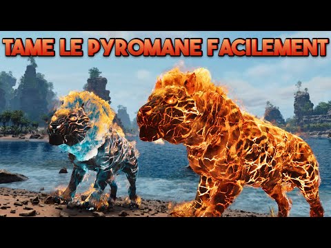 COMMENT TAMER FACILEMENT UN PYROMANE : Tuto Ark Ascended - YouTube