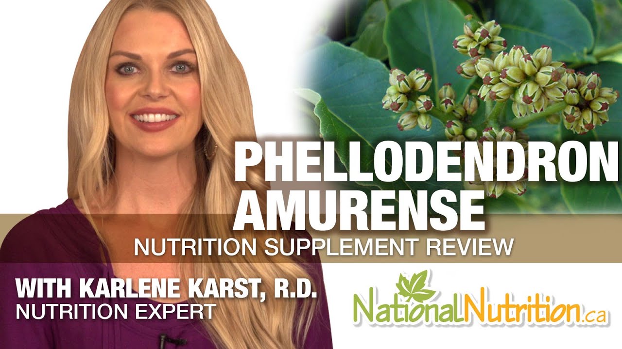 Phellodendron Amurense for Osteoarthritis - Supplement Review ...