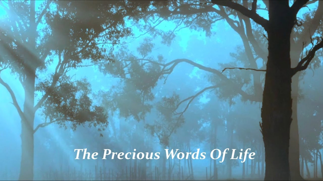THE PRECIOUS WORDS OF LIFE - YouTube
