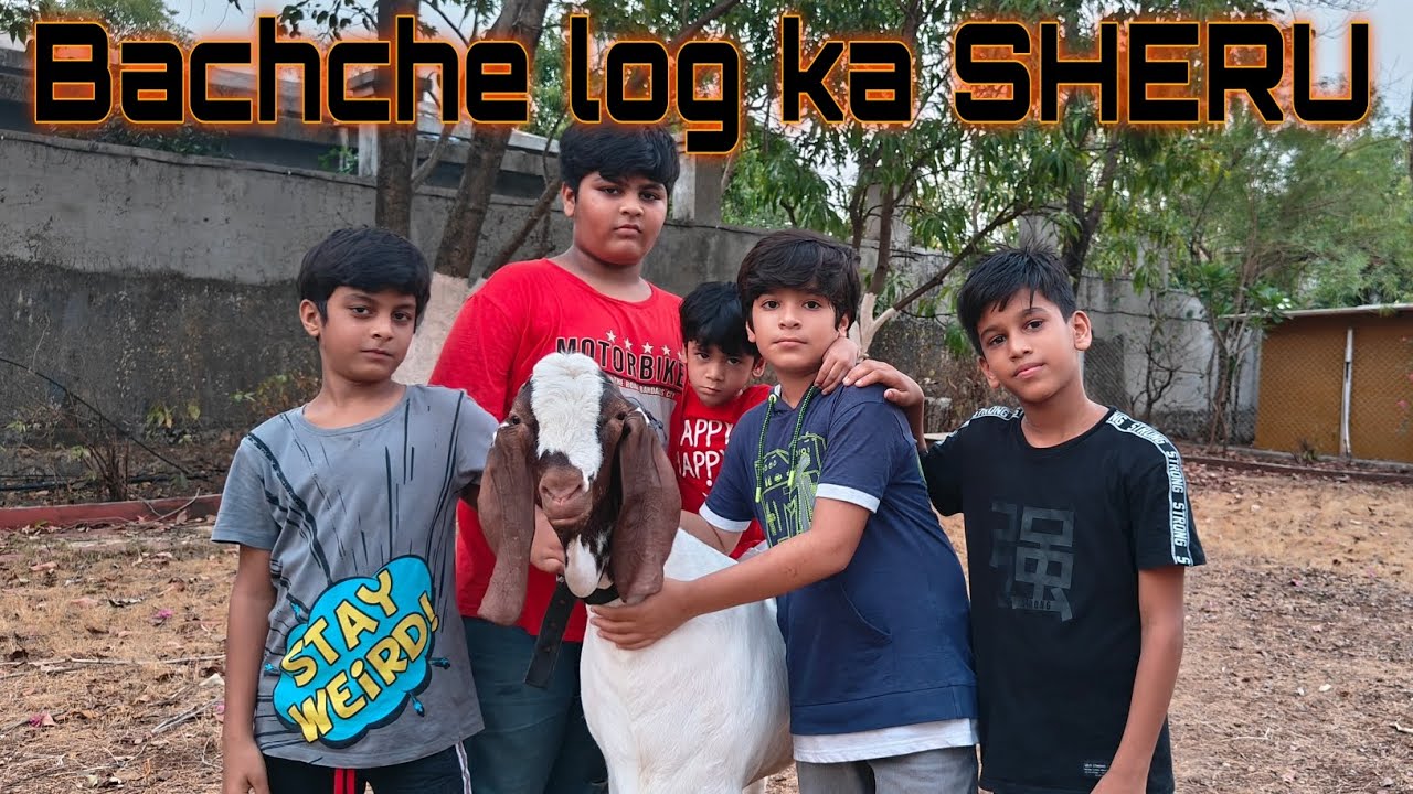 Bachcha party ka SHERU at THE MILKYWAY GOAT FARM - YouTube