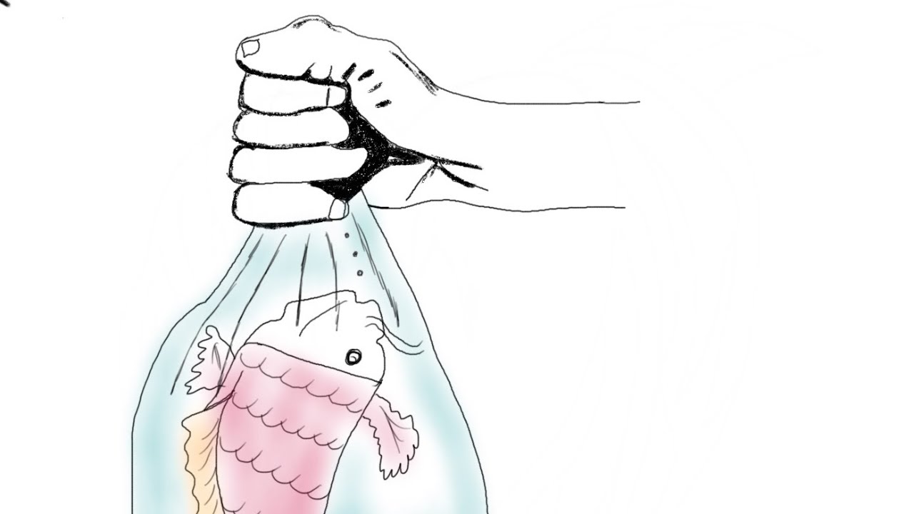 How To Draw Fish in Bag - YouTube