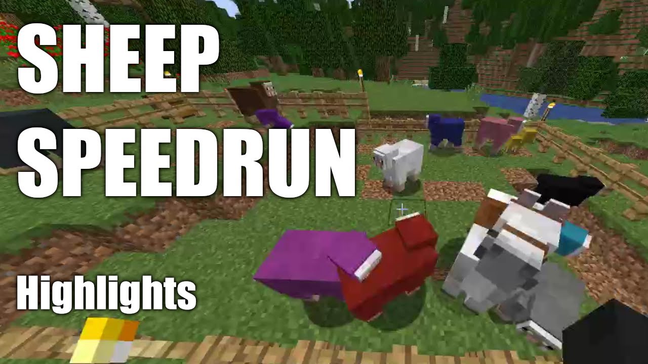 Minecraft All Sheep Colors Speedrun (Highlights) - YouTube