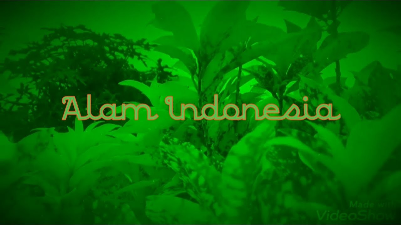 Alam Indonesia | editing | Cinematic alam | nature aesthetic - YouTube