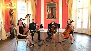 String Quartet Pop Songs | Popnable