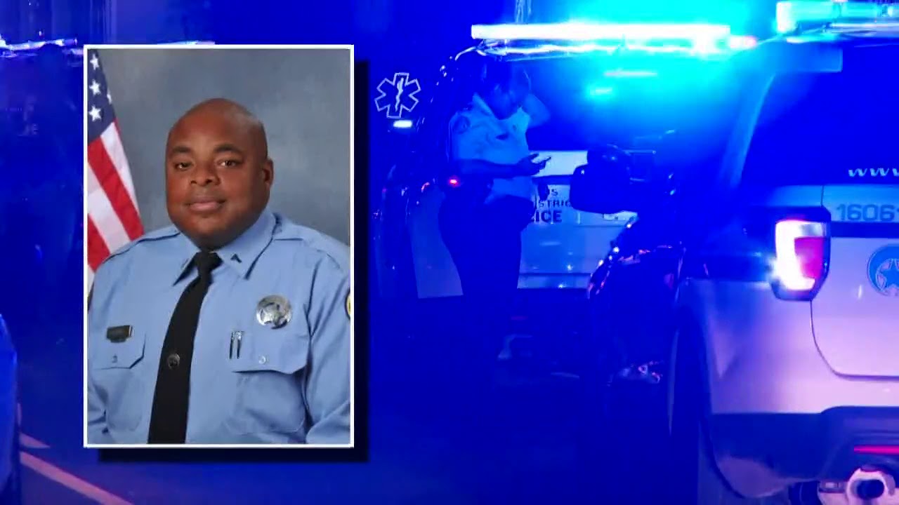 Man accused of killing New Orleans officer described as 'career ...