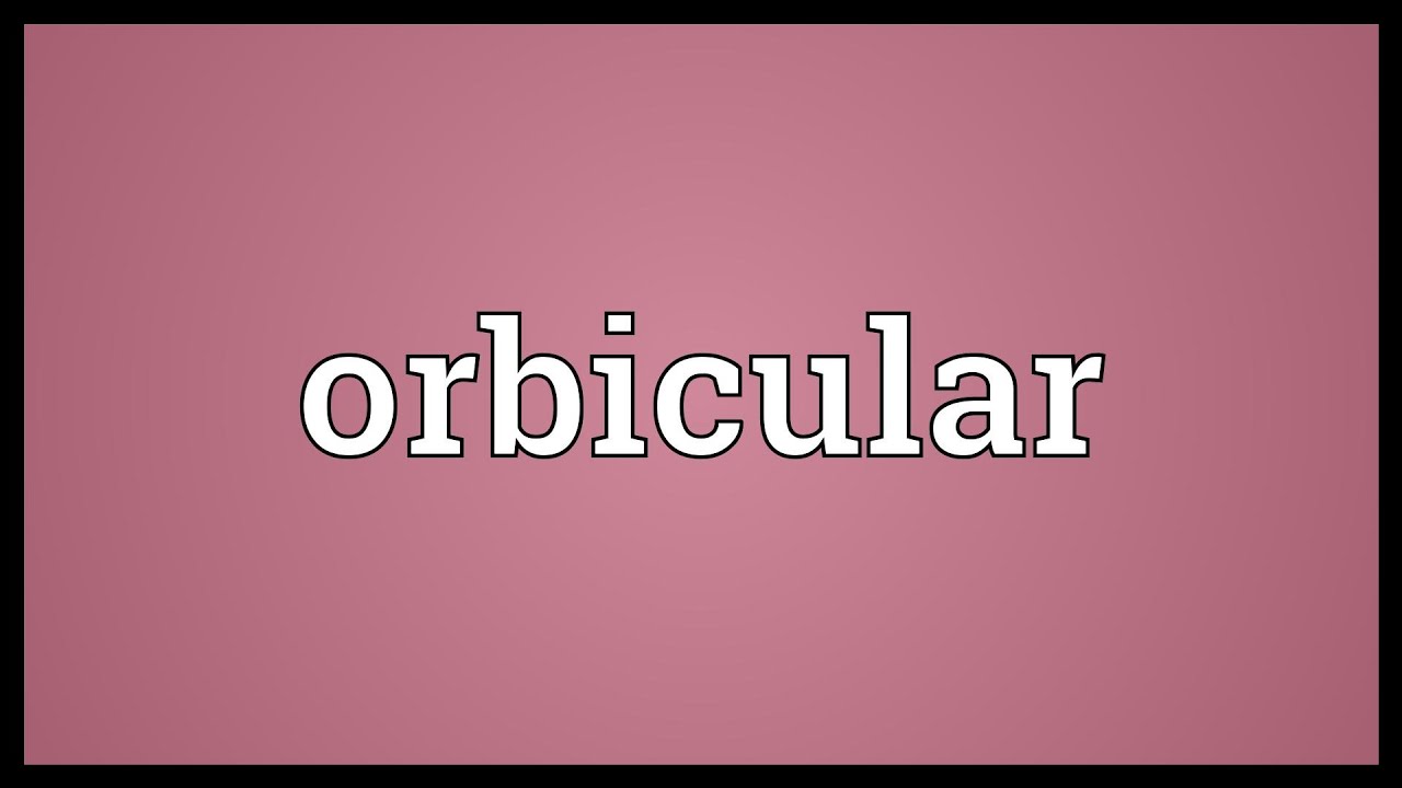 Orbicular Meaning - YouTube