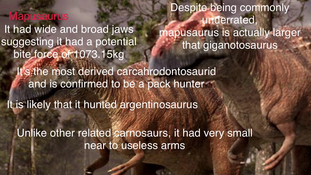 Mapusaurus vs giganotosaurus (1v1 dino battle) - YouTube