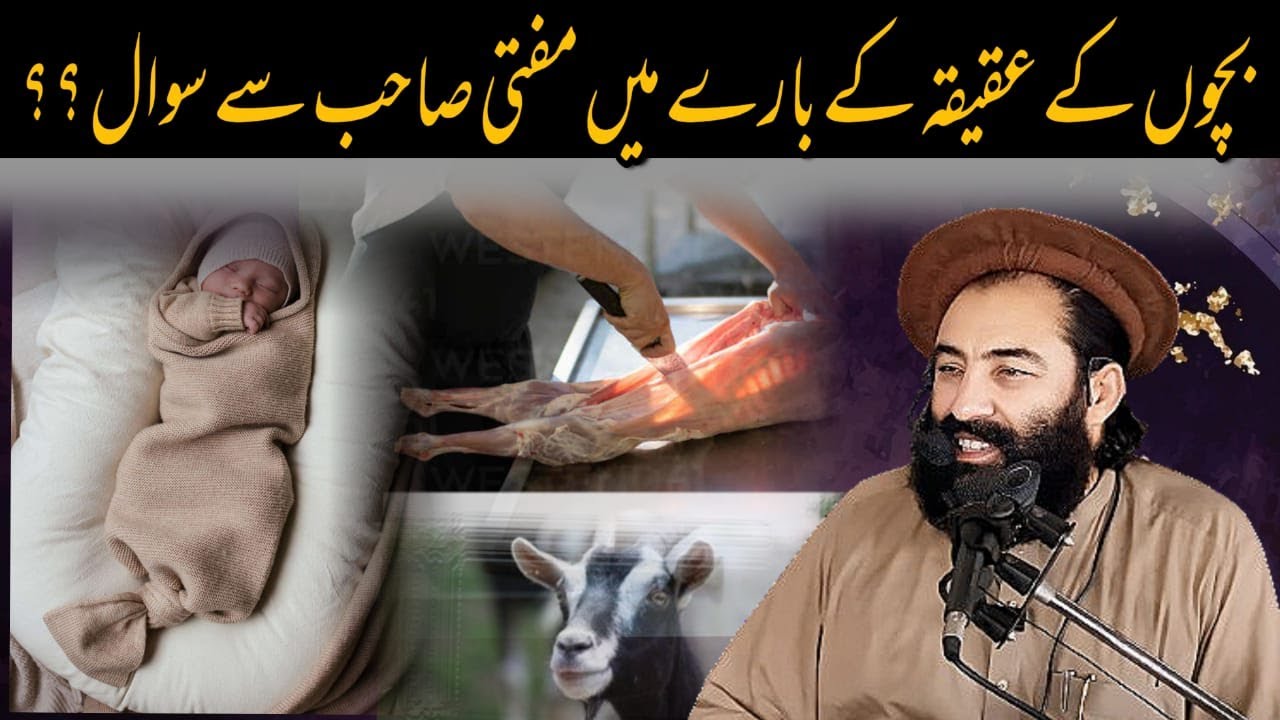 Bachon Ke Aqiqy Ke Bary May Mufti Saab Se Sawal? Mufti Munir Shakir ...