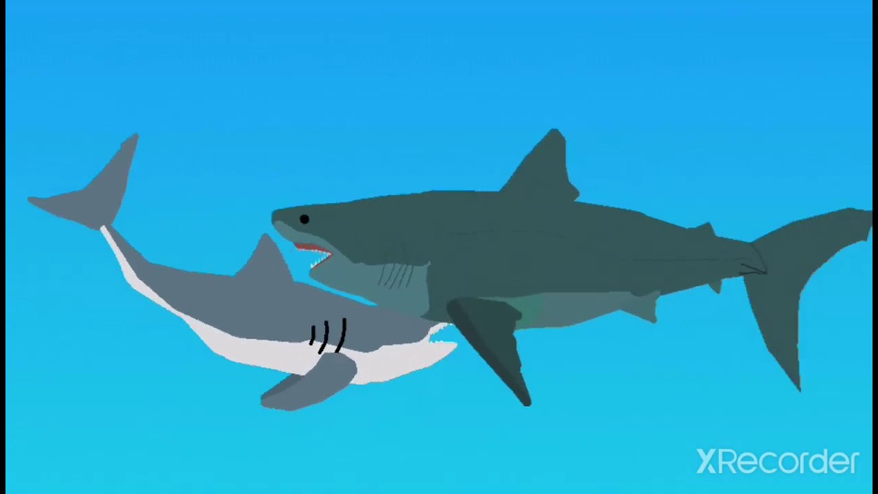 Great White Shark SV Megalodon Animation. - YouTube