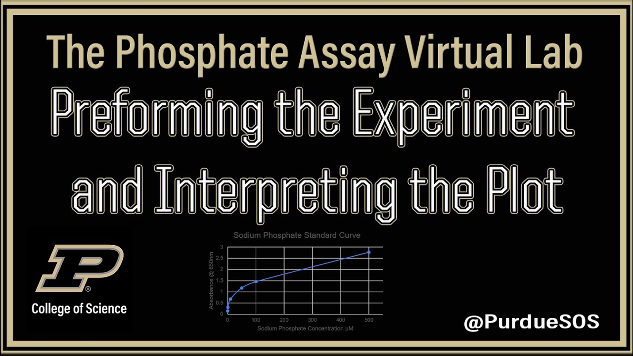 The Phosphate Assay Virtual Lab: Preforming the Experiment and ...