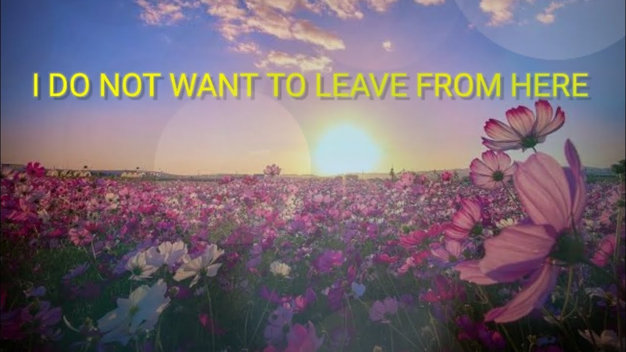 NOSTALGIA - FLOWERS DURING DAWN (WEIRDCORE / DREAMCORE) - YouTube