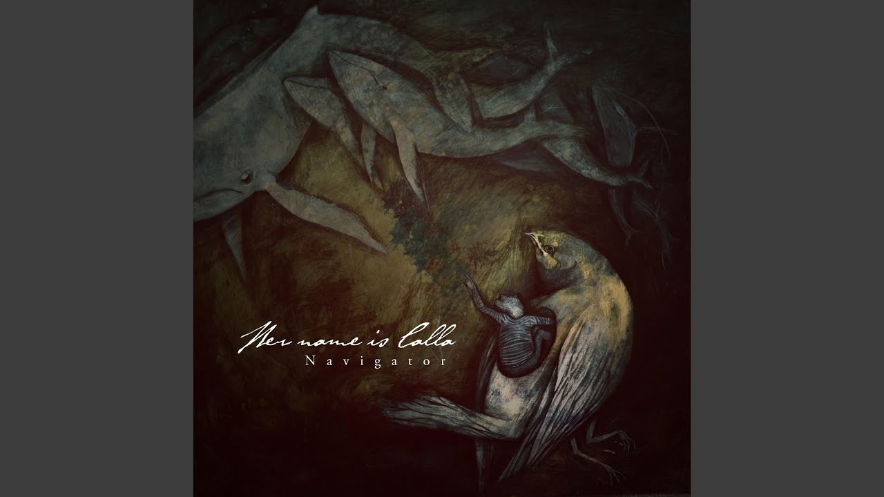 The Roots Run Deep - YouTube