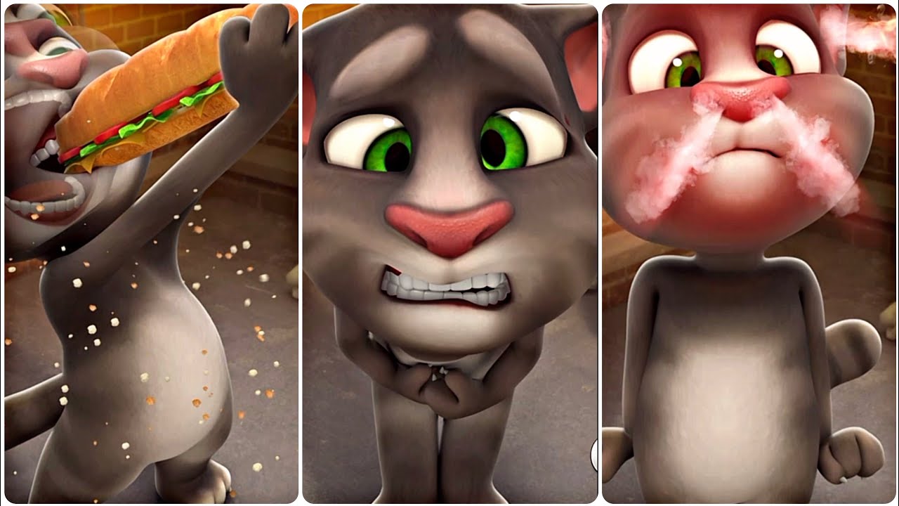Talking Tom Funny Moments Youtube