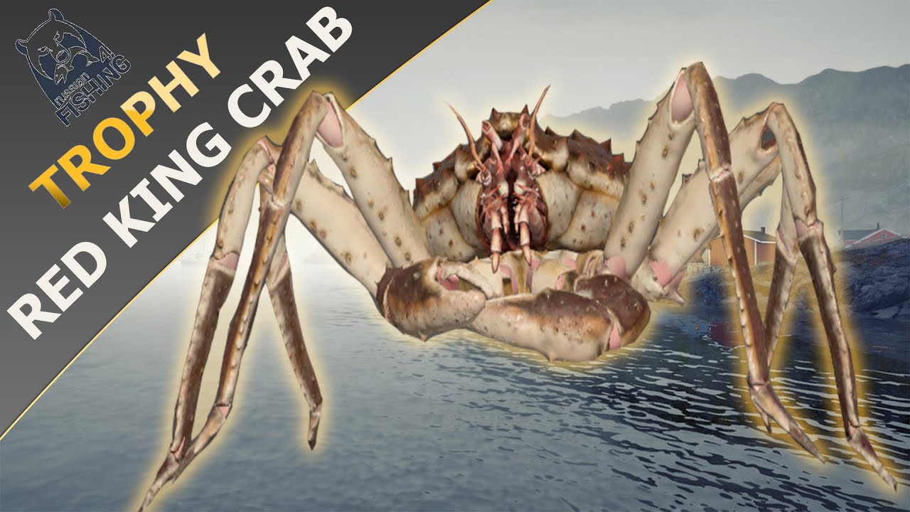 Norwegian Sea. Trophy Red King Crab Russian Fishing 4 RF4 - YouTube
