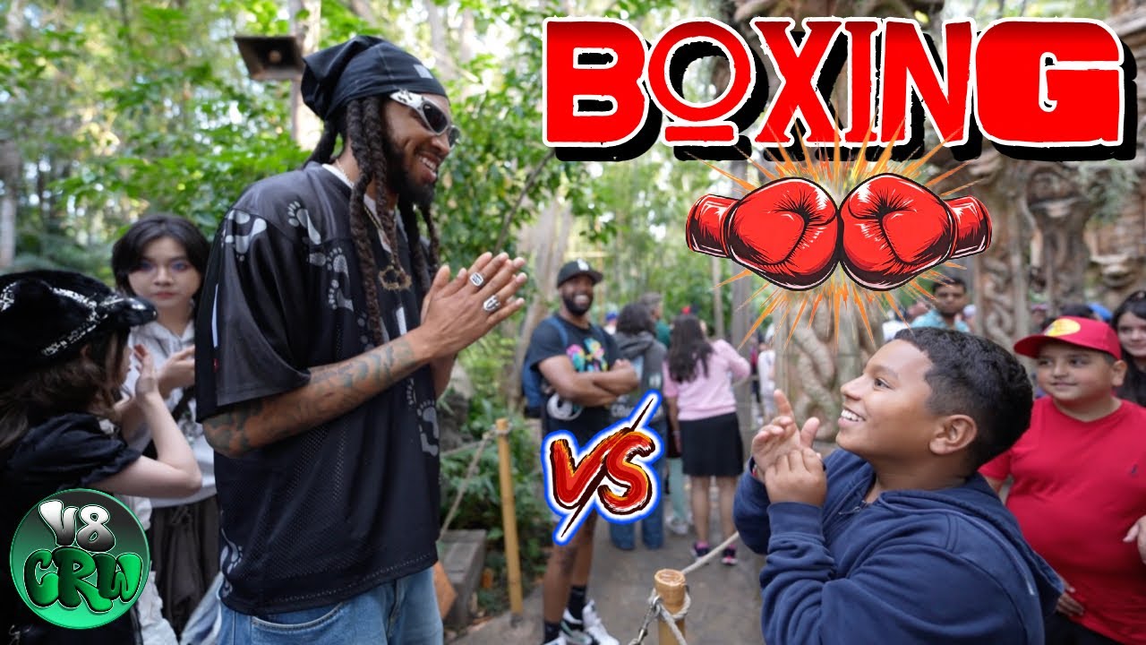 BOXING strangers at DISNEYLAND!! - YouTube