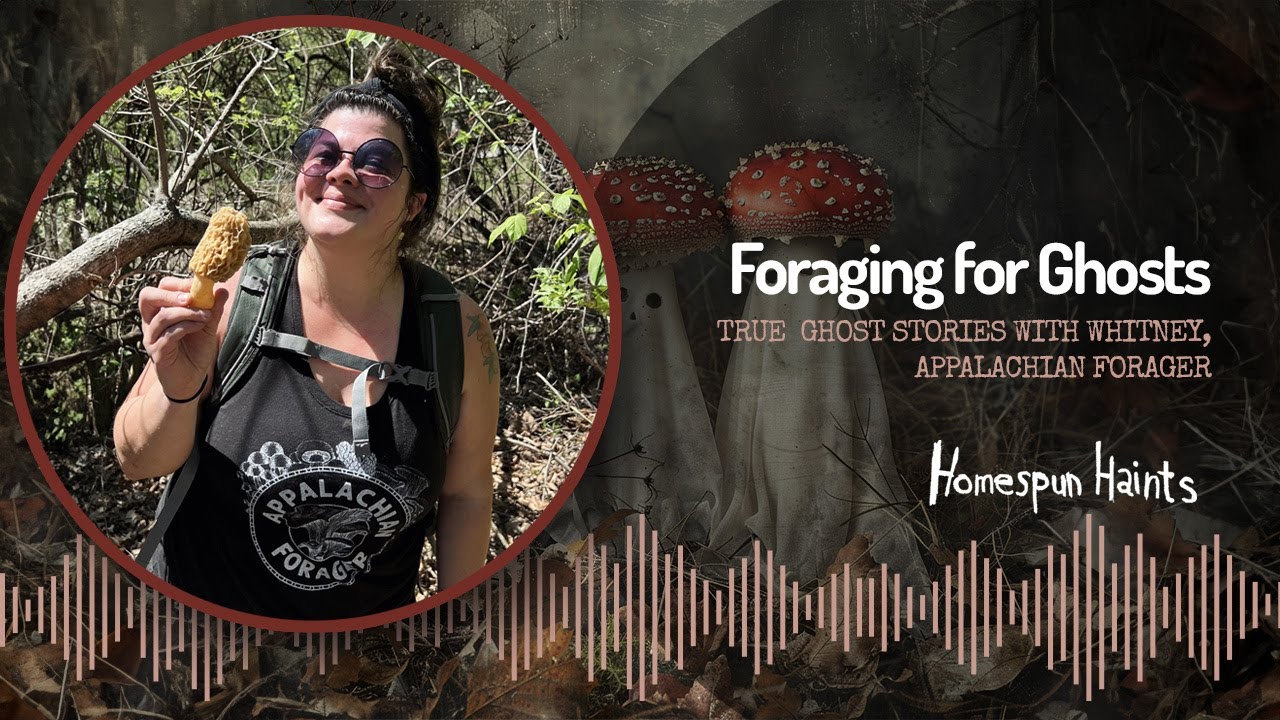 True Appalachian Paranormal Stories from Appalachian Forager - YouTube