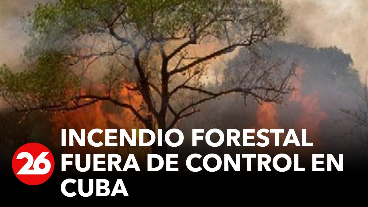 Incendio forestal fuera de control en Cuba: arrasó 1.700 hectáreas ...