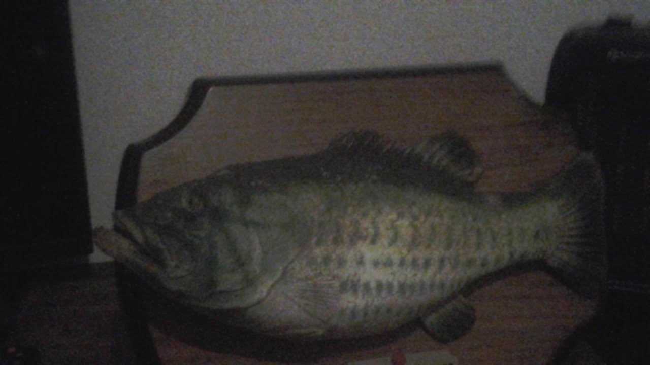 (Rare 2000's) big mouth billy bass take me to the river w/ adapter ...