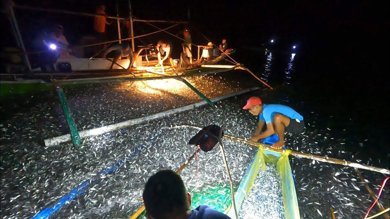 Amazing Dumagsa Ang Maraming Isda Sa Pailaw Part 2 Mindovermetal English