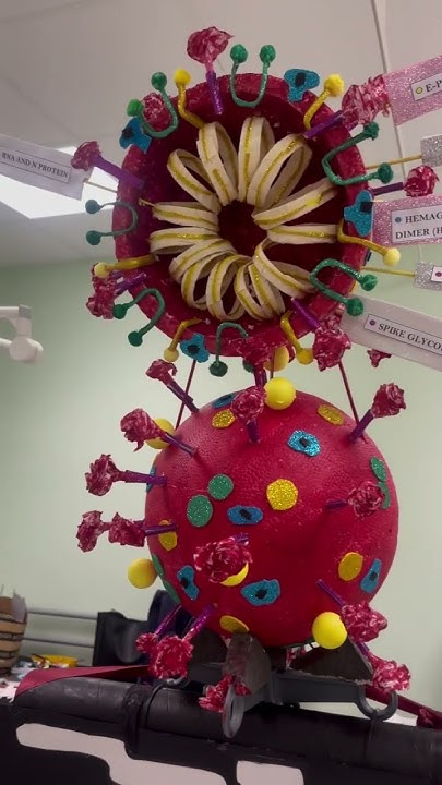 Build a Bug Contest 2024 #infectioncontrol #nurselife #coronavirus # ...