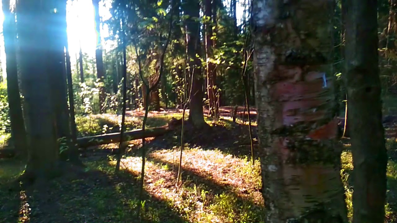 КОНЦЕРТ ГРУППЫ ДВАР | DVAR LIVE SHOW - YouTube