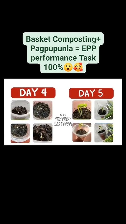 100% EPP PERFORMANCE TASK,ACHIEVED! - YouTube