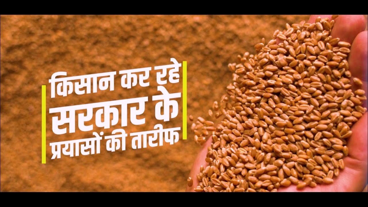 One Nation, One MSP, One DBT द्वारा मिल रहे उपज के दामों से खुश हैं देश ...