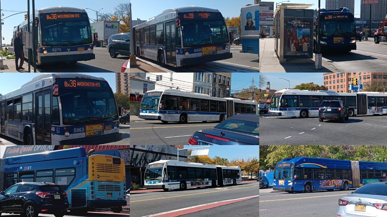 MTA: Bx36 and Bx39 Buses on White Plains Road | October 26, 2023 - YouTube