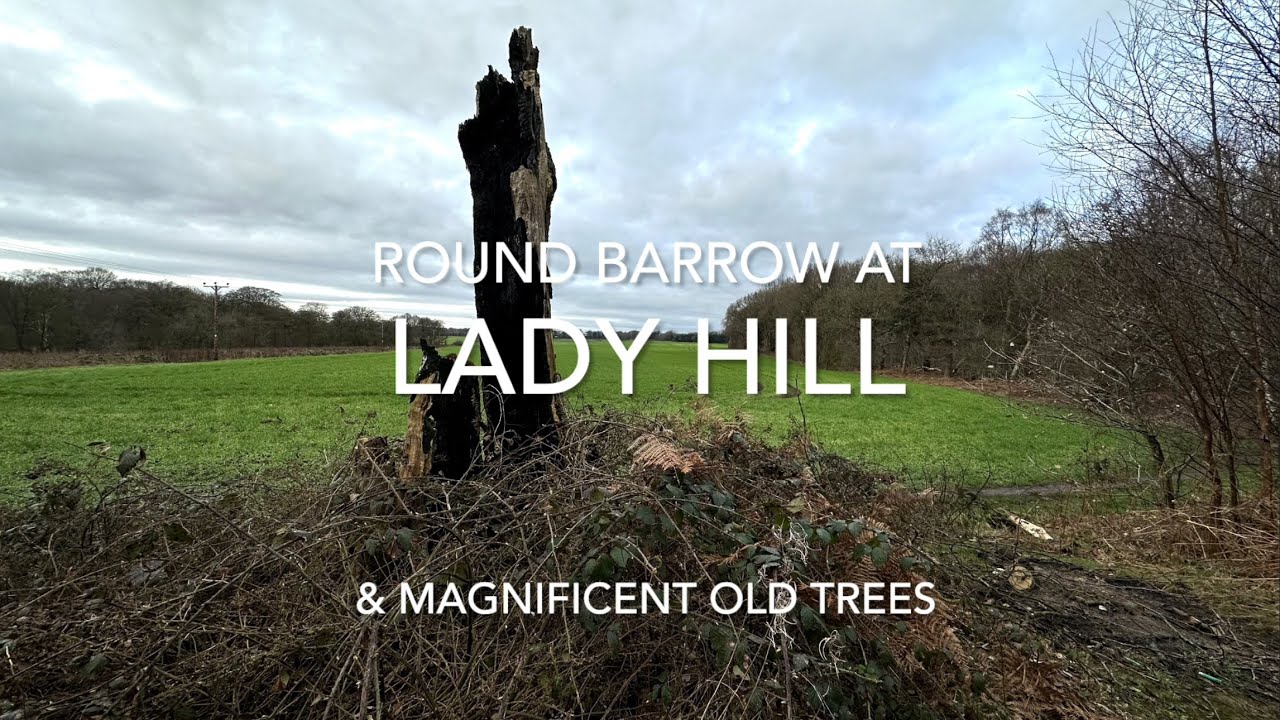 Round Barrow at Lady Hill & Magnificent Old Trees - YouTube