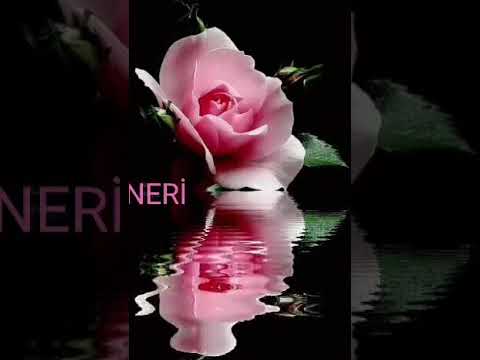 Arefe günümüz tüm müslüman alemine mübarek olsun🌷🥀🌷