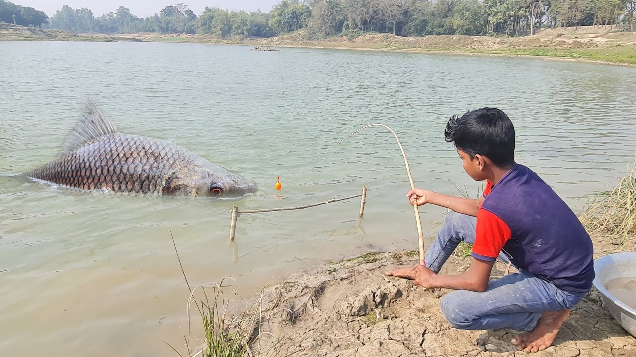 Unique and Amazing Traditional Boy Hunting Big Fish By Hook In Pound ...