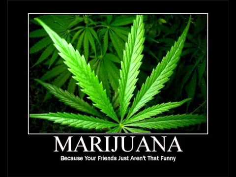 ulvi emircanli ala bele kayf olmaz