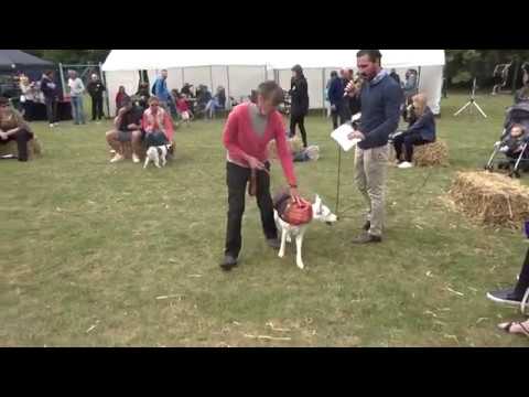 Coddenham Fete 7 September 2019 - Best Fancy Dress - YouTube