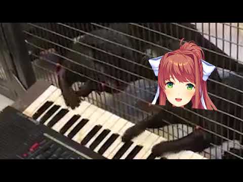 Monika hacked this video - YouTube