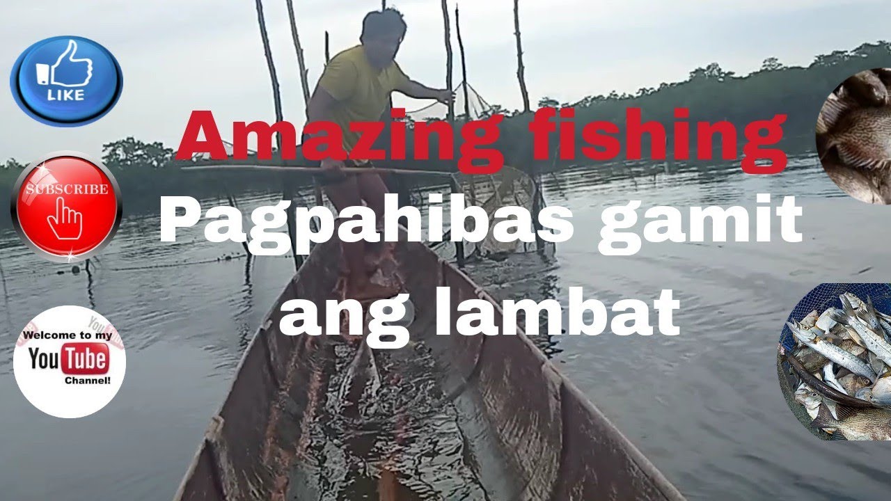 Amazing fishing / Pagpahibas gamit Ang Lambat #fisherman #philippines ...