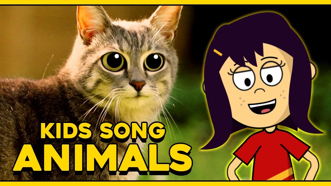 Educational Kids Song | Lucy - Animals | Mimi Song - YouTube