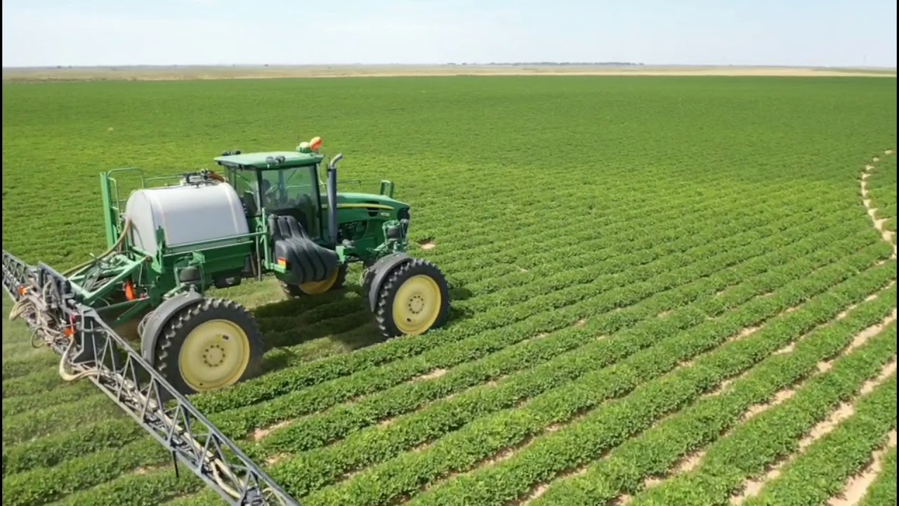 John Deere 4730 Spraying a peanut field - YouTube