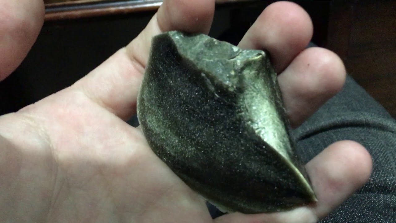 Pachuca Obsidian - YouTube