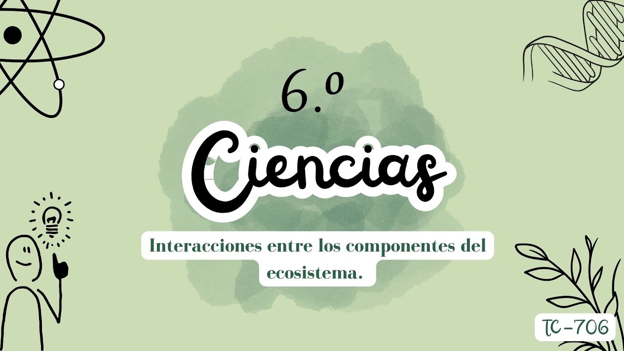 Interacciones Y Ecosistemas