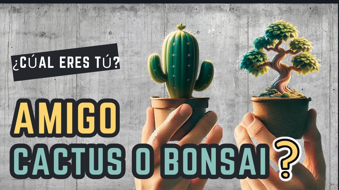 ¿Qué Tipo de Amigo Eres? Cactus o Bonsái | Una Reflexión que Cambiará ...