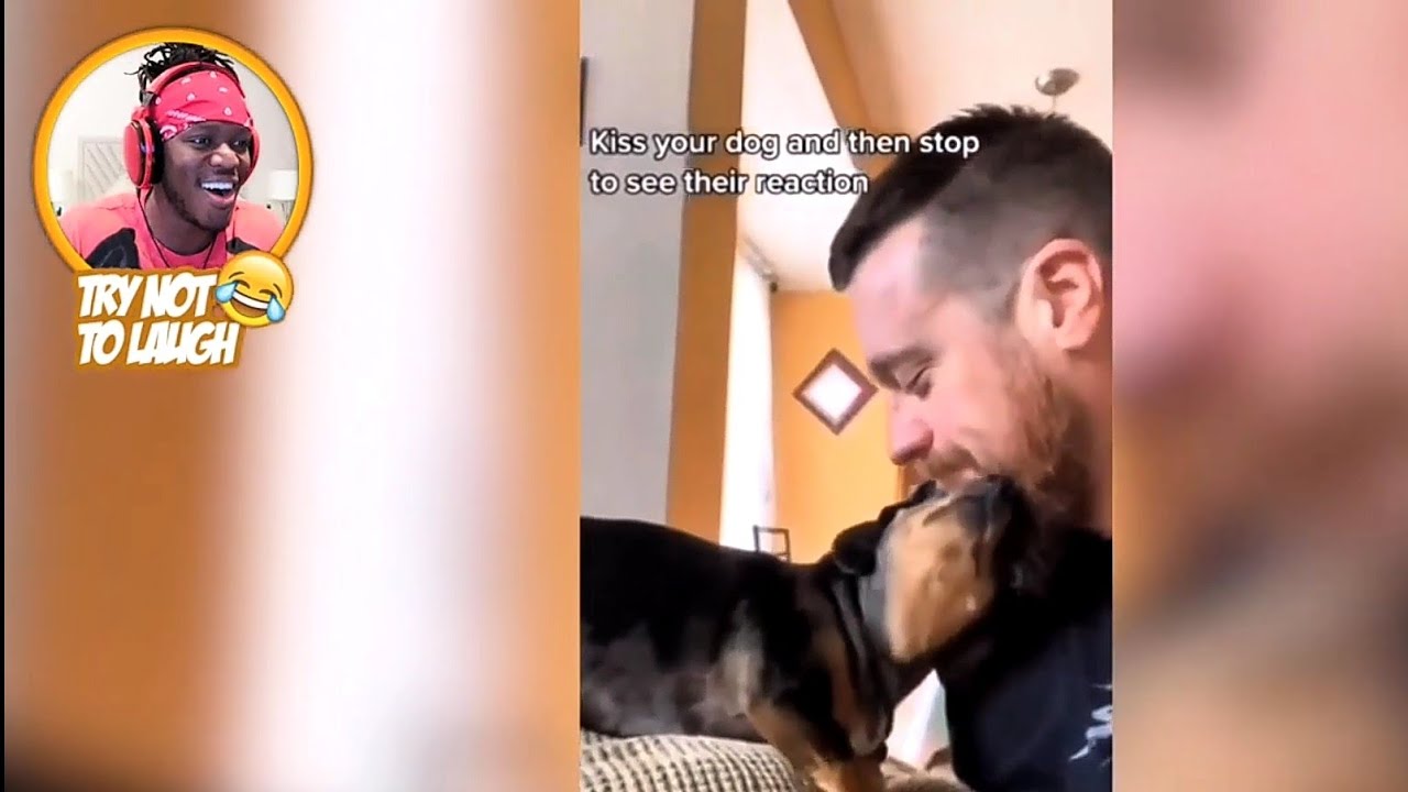 Kiss your dog and then see their reaction | KSI try not to laugh - YouTube