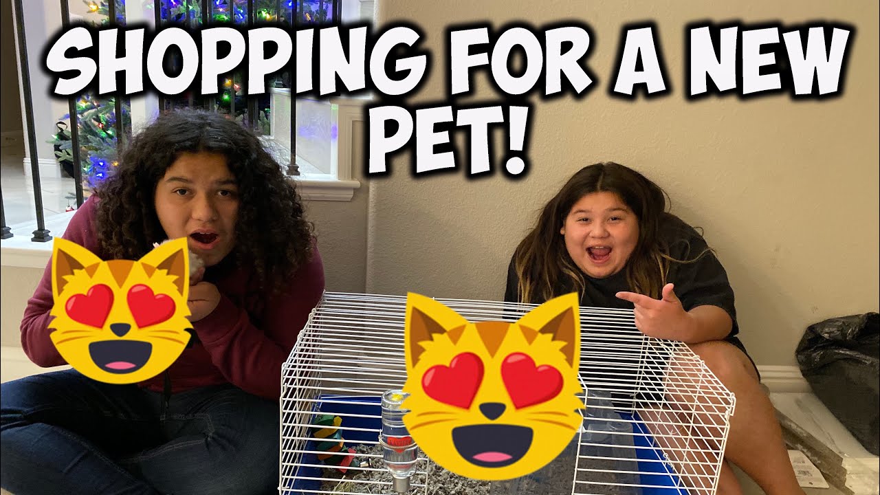 MARY and IZZY GOT A NEW PET! What did they get ??? - YouTube